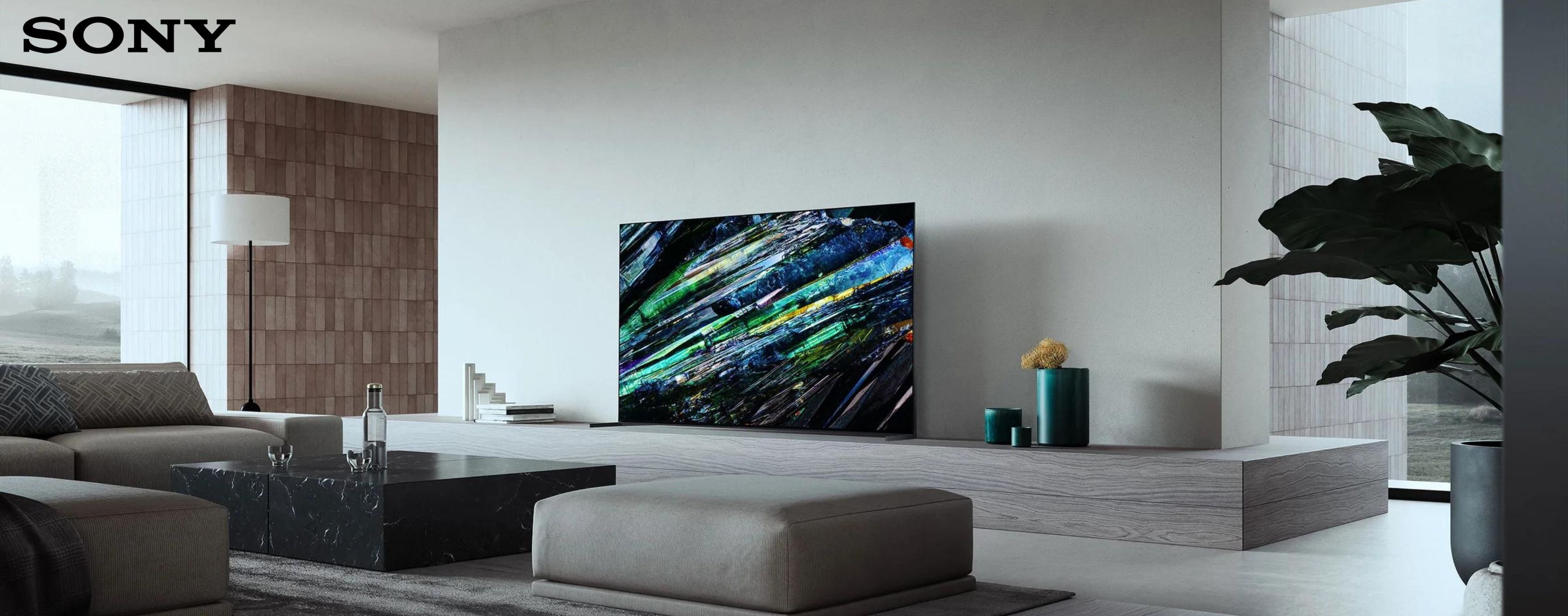 Sony | Téléviseurs